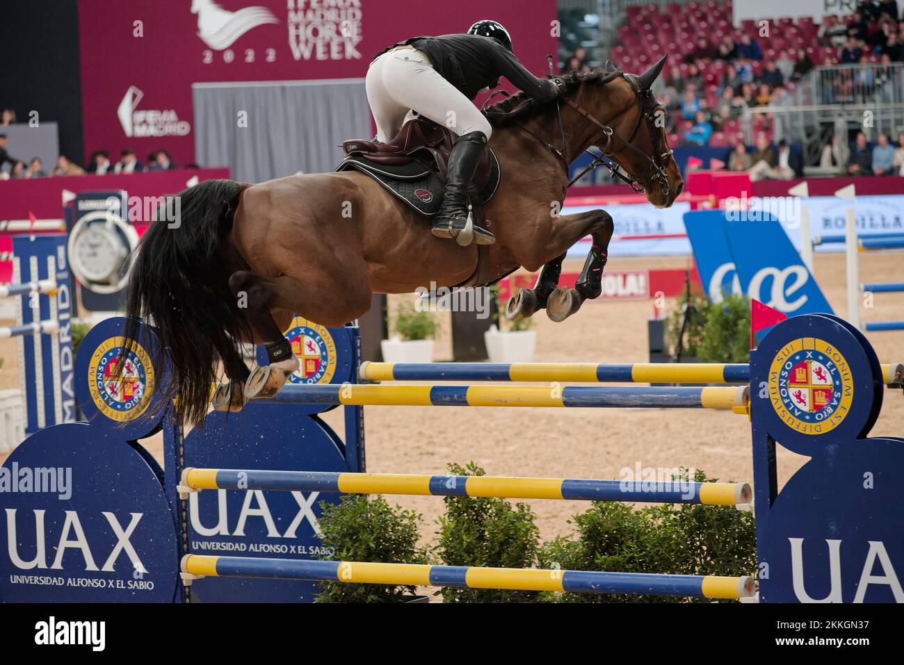 IFEMA, Madrid, Spain. 25th Nov, 2022. Madrid Horse Week 2022, CSI 5*- W ...