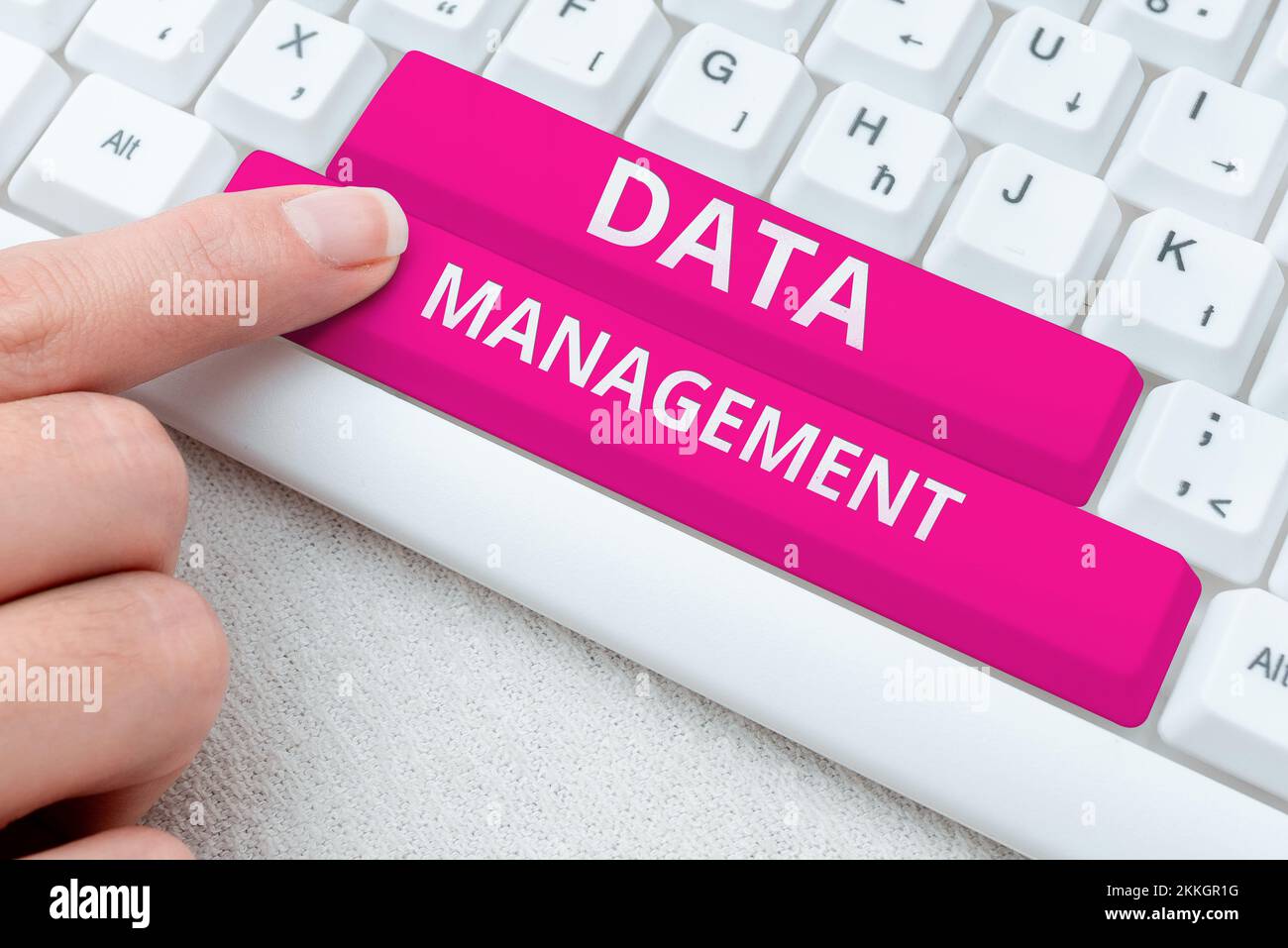 Conceptual display Data Management. Business idea disciplines related to managing data as a ...