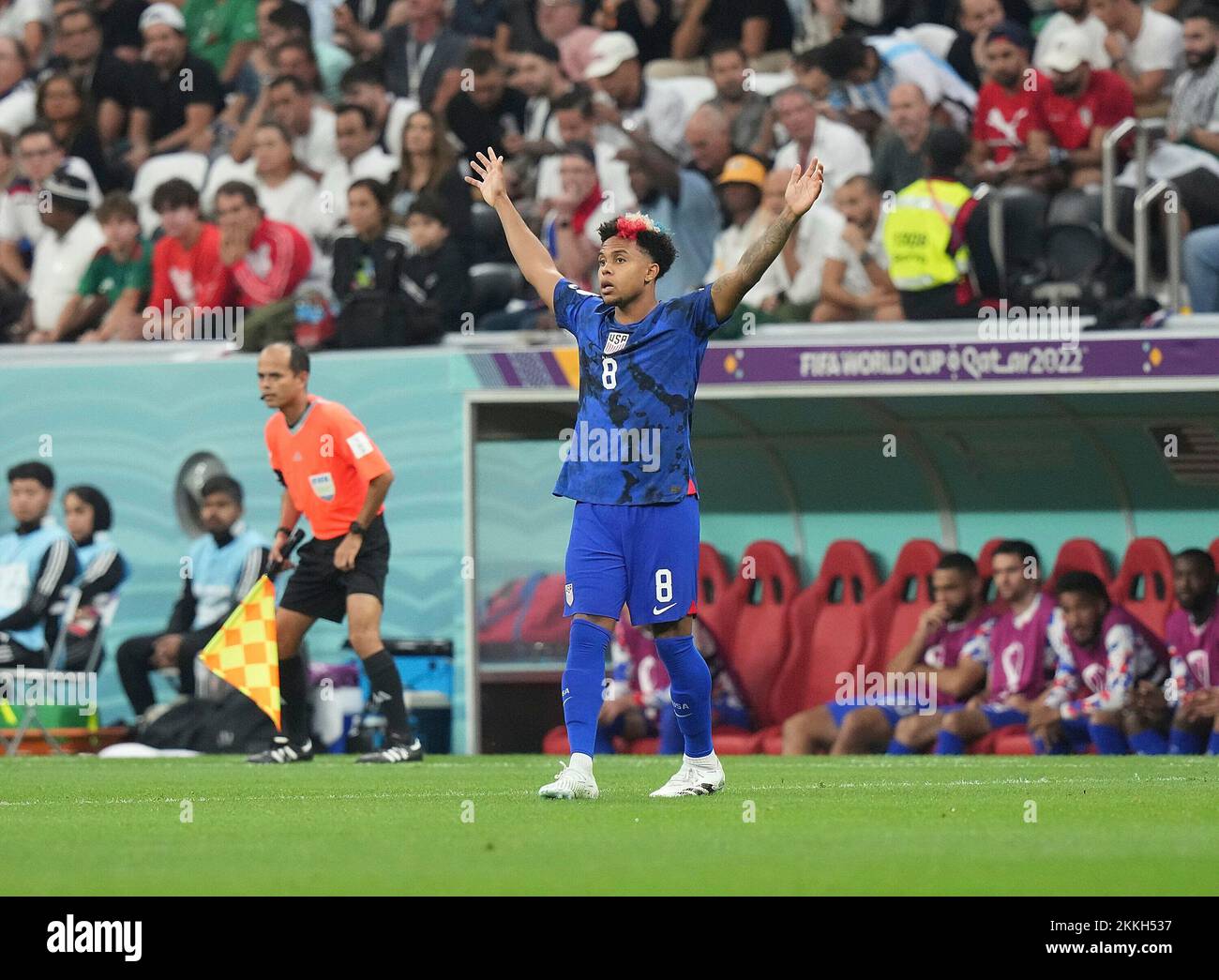 Doha, Qatar. 25th Nov, 2022. 11/25/2022, Al Bayt Stadium, Doha, QAT ...