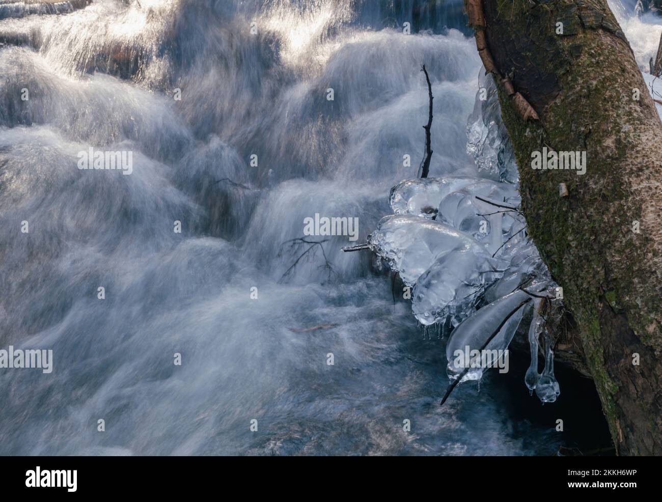 Hiking trail hiker winter cold activity, on the trail, woods copy space ...