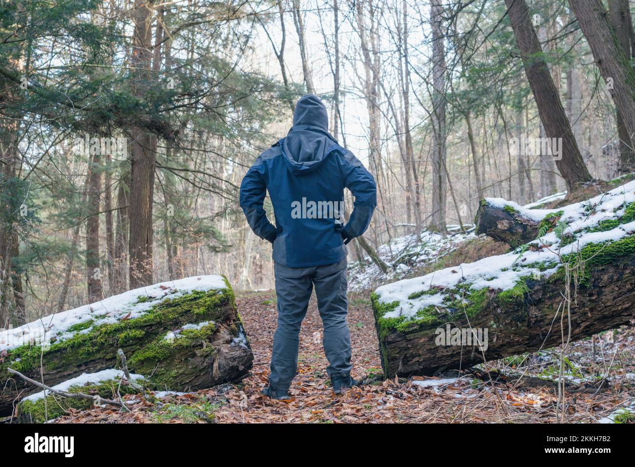 Hiking trail hiker winter cold activity, on the trail, woods copy space ...