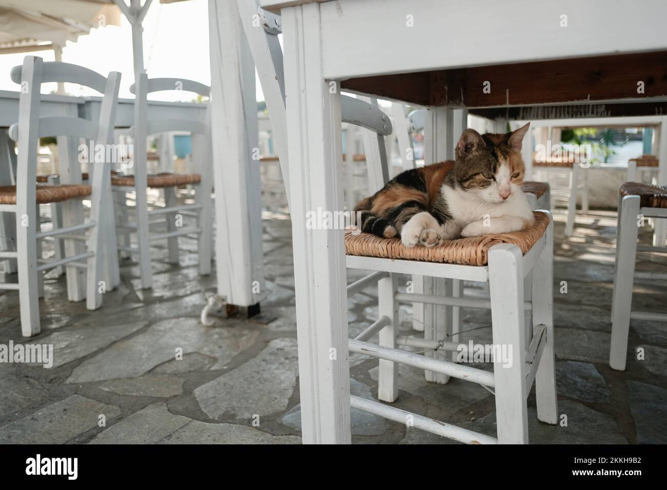 The small port of Perdika in Aegina, Greece. A common stop over port on ...