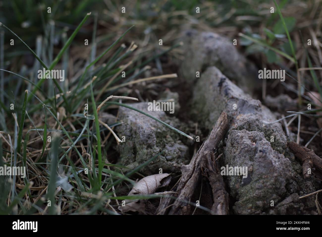 A closeup of concrete pieces isolated on the green grass Stock Photo ...