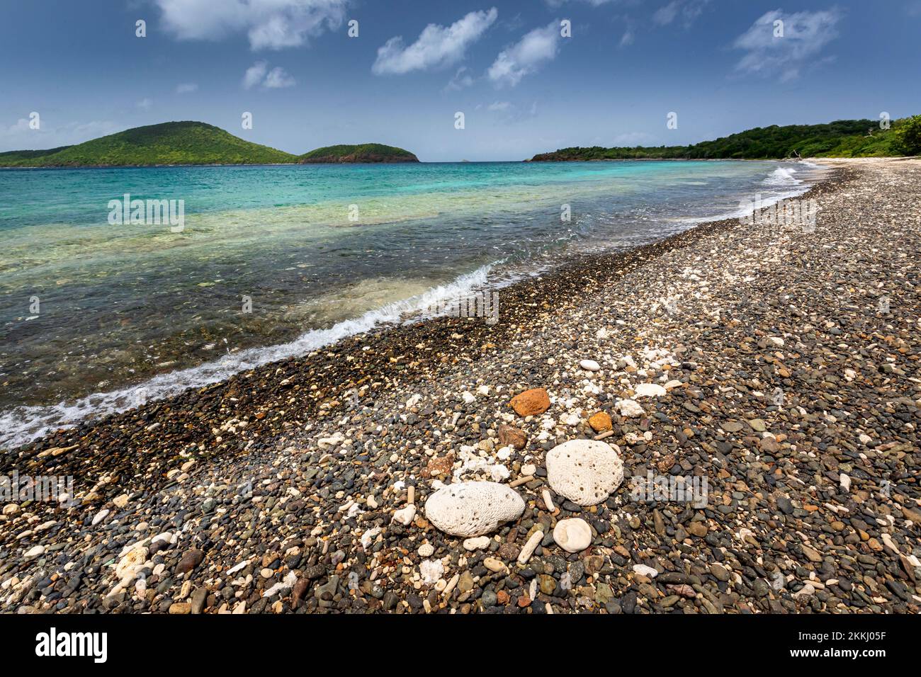 Coral on Tamarind Beach, on the tropical Caribbean island of Culebra ...