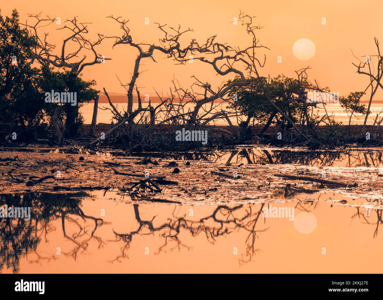 Sunrise near the Salinas de Cabo Rojo salt flats, on the tropical ...