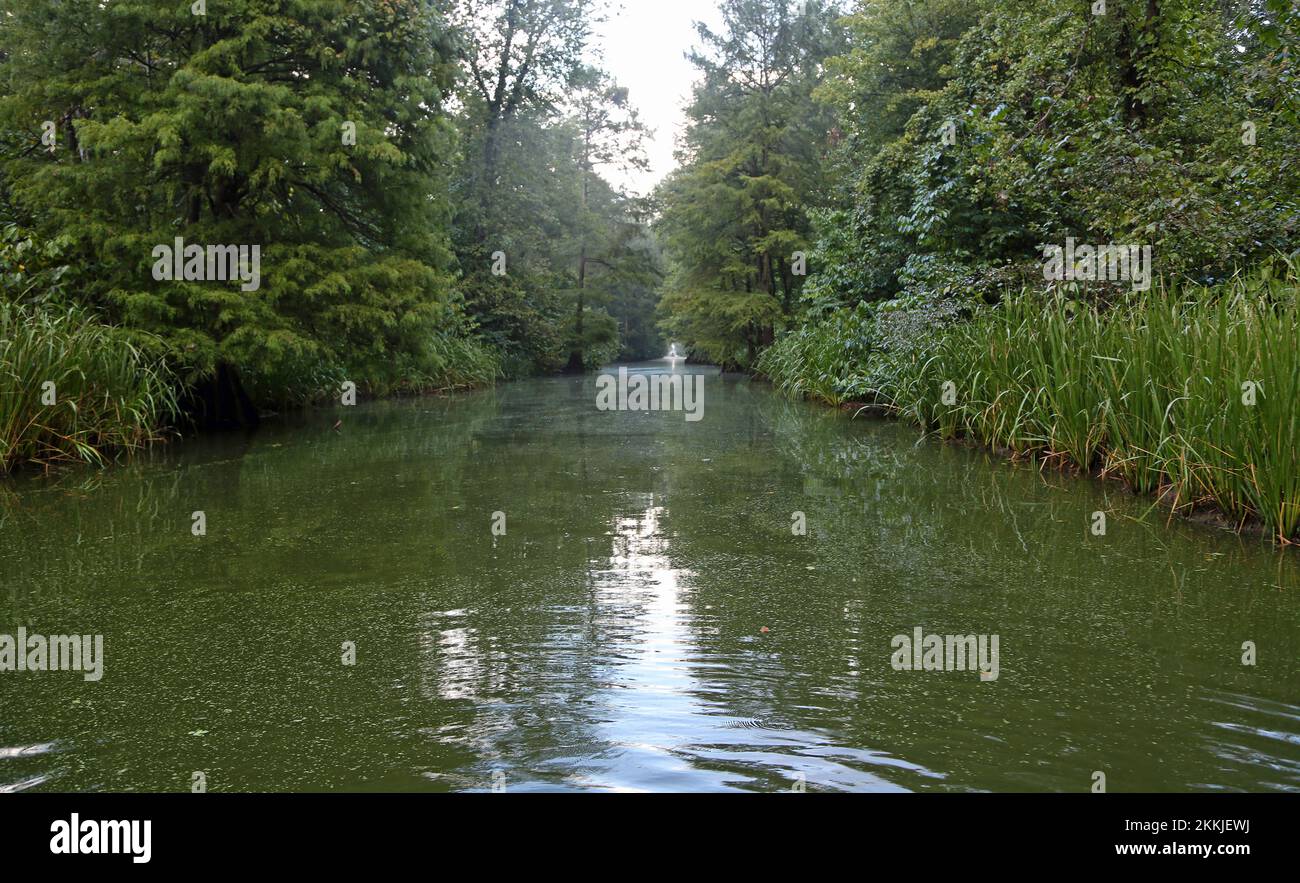 Green water corridor - Reelfoot Lake State Park, Tennessee Stock Photo ...