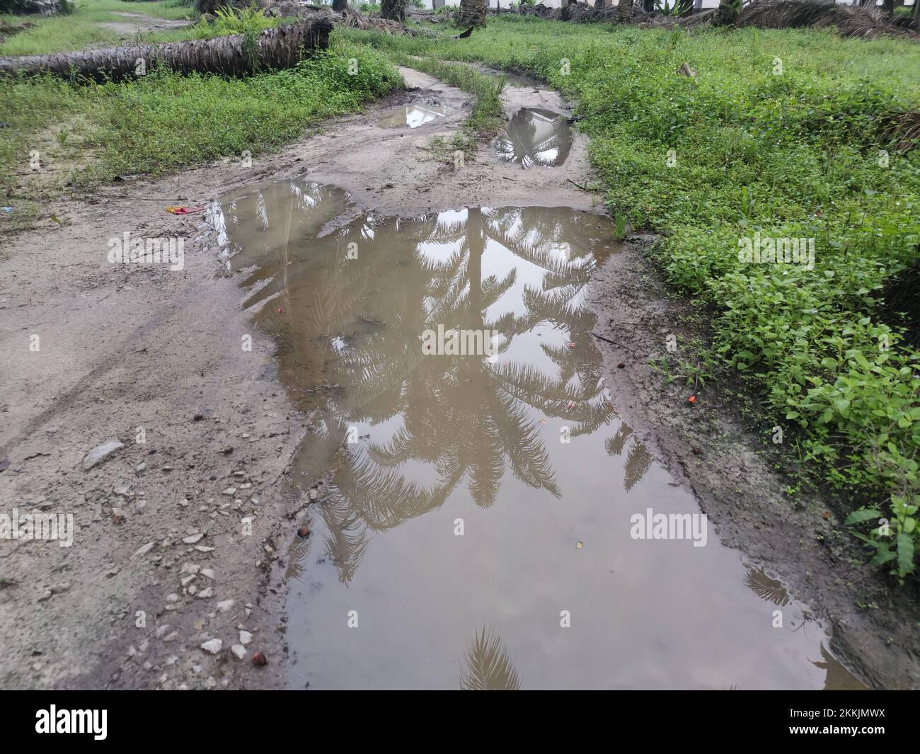 reflective pool of stagnant water on the rural pathway Stock Photo - Alamy
