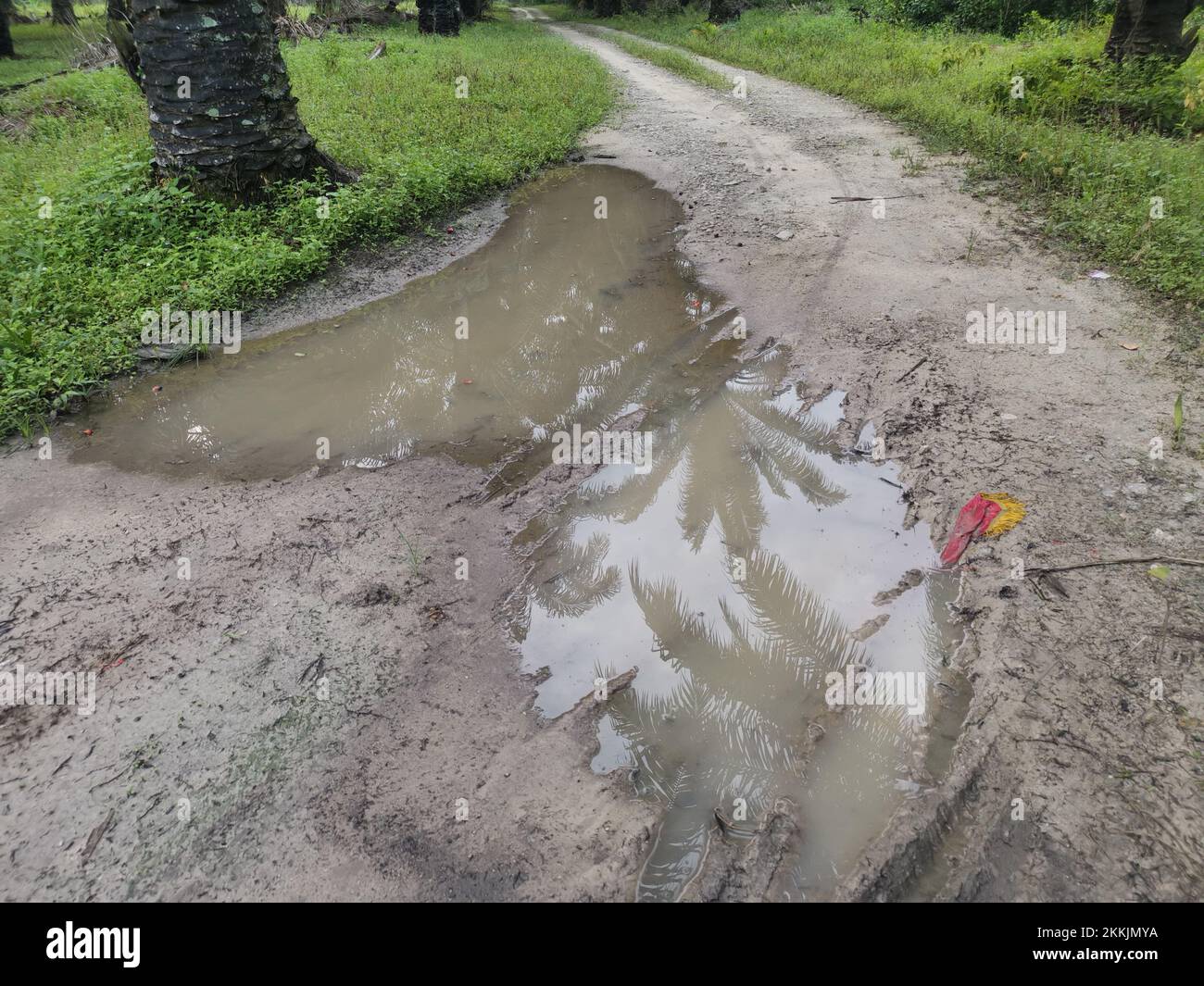 reflective pool of stagnant water on the rural pathway Stock Photo - Alamy