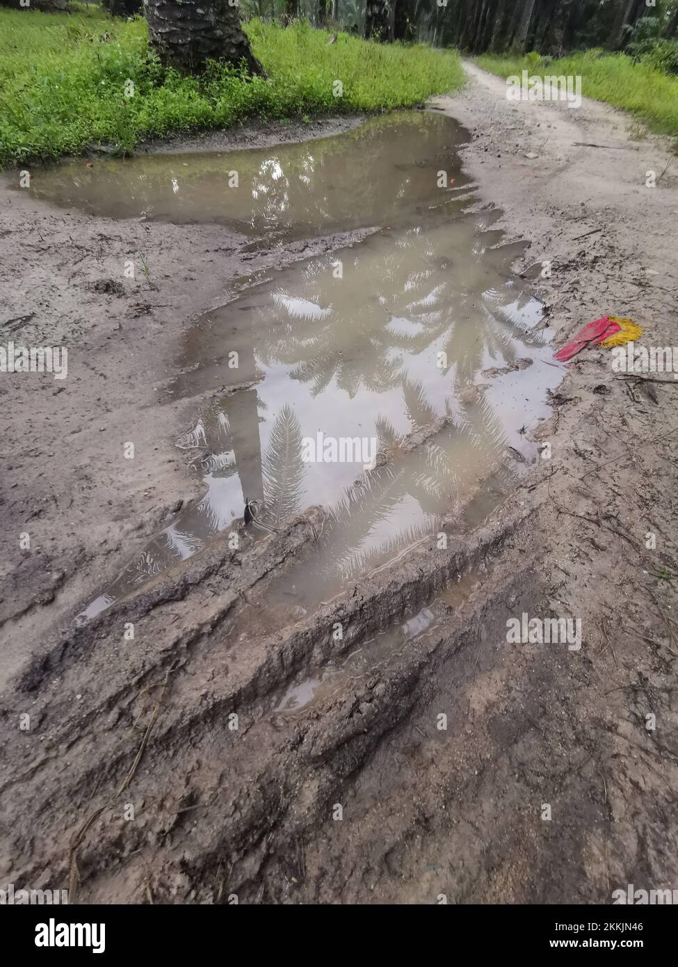 reflective pool of stagnant water on the rural pathway Stock Photo - Alamy
