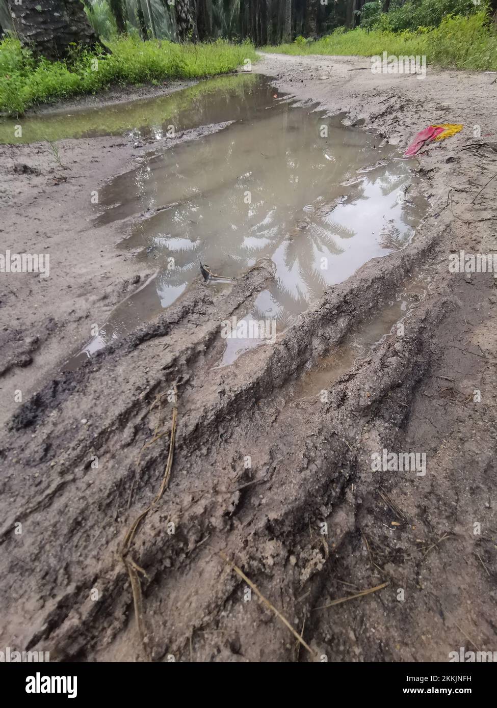reflective pool of stagnant water on the rural pathway Stock Photo - Alamy