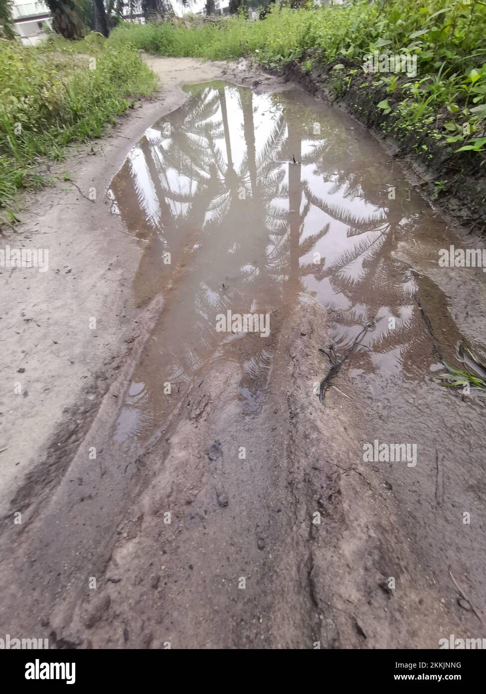 reflective pool of stagnant water on the rural pathway Stock Photo - Alamy