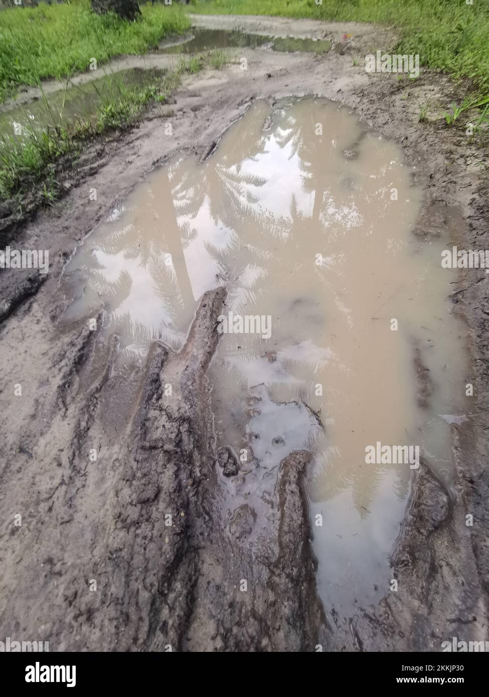 reflective pool of stagnant water on the rural pathway Stock Photo - Alamy