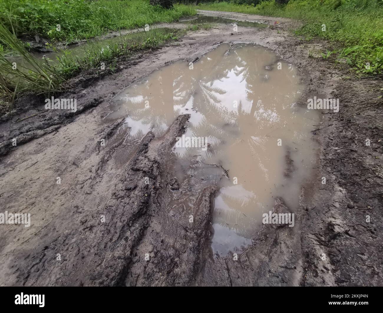 reflective pool of stagnant water on the rural pathway Stock Photo - Alamy