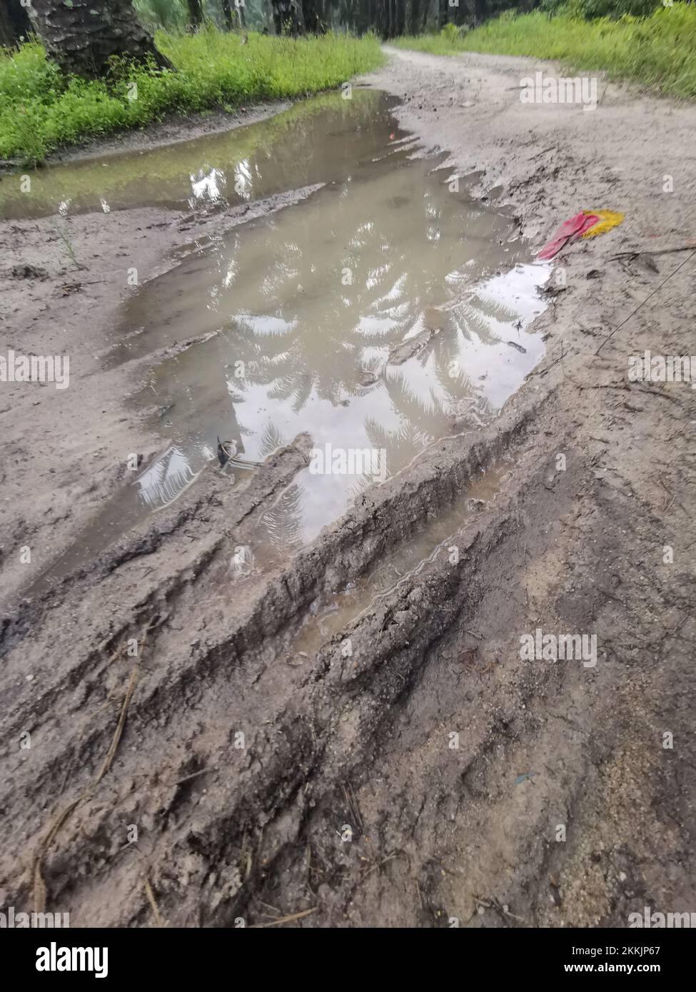 reflective pool of stagnant water on the rural pathway Stock Photo - Alamy