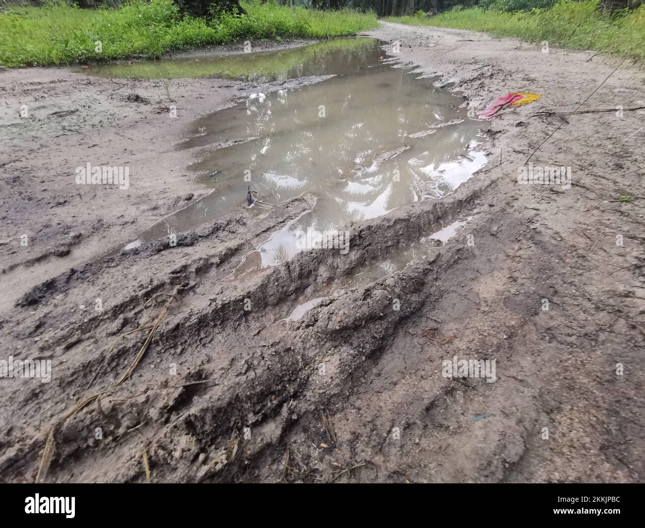 reflective pool of stagnant water on the rural pathway Stock Photo - Alamy