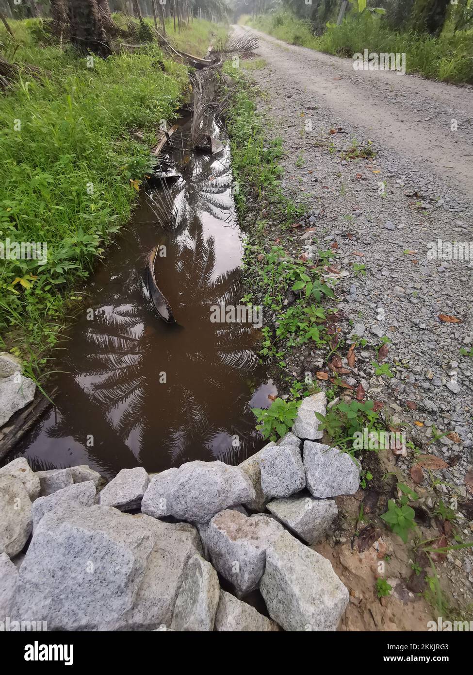 reflective pool of stagnant water on the rural pathway Stock Photo - Alamy