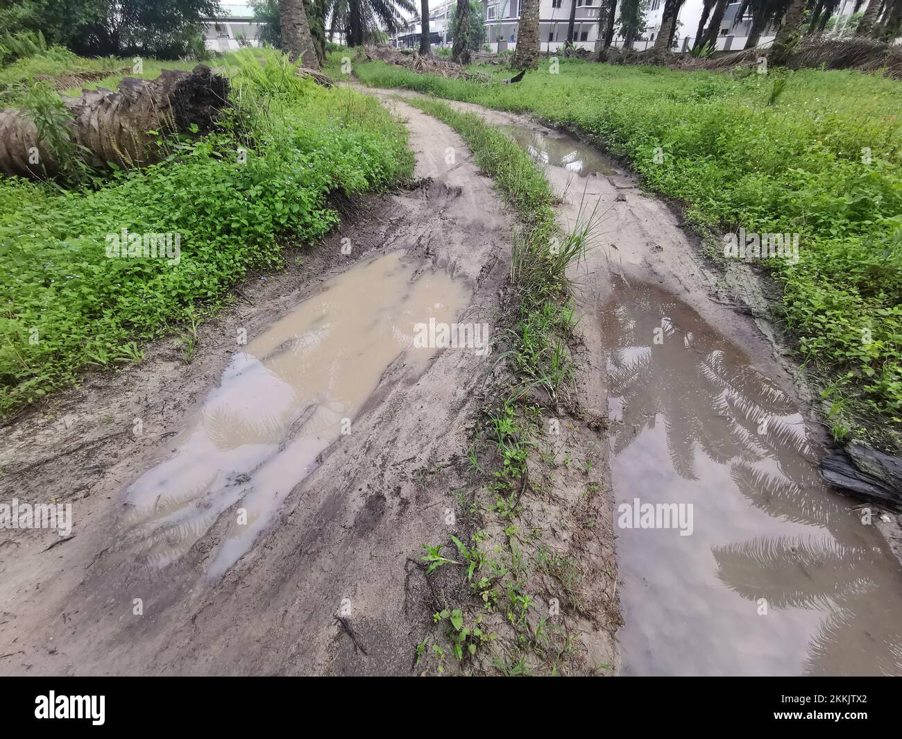 reflective pool of stagnant water on the rural pathway Stock Photo - Alamy
