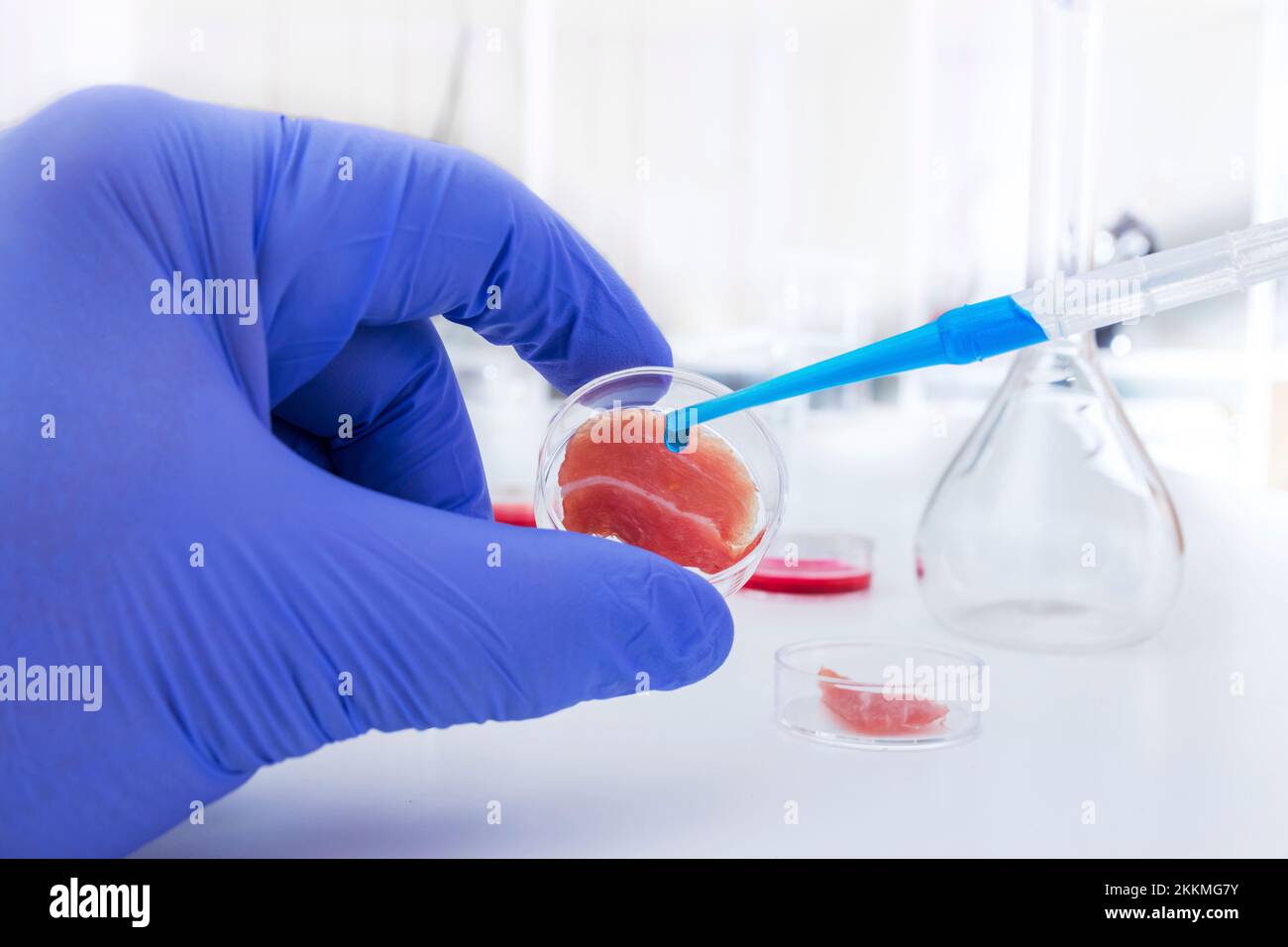 Lab-grown meat, conceptual image Stock Photo - Alamy