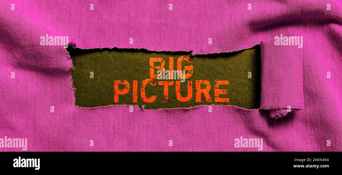 Writing displaying text Big Picture. Word Written on most important ...