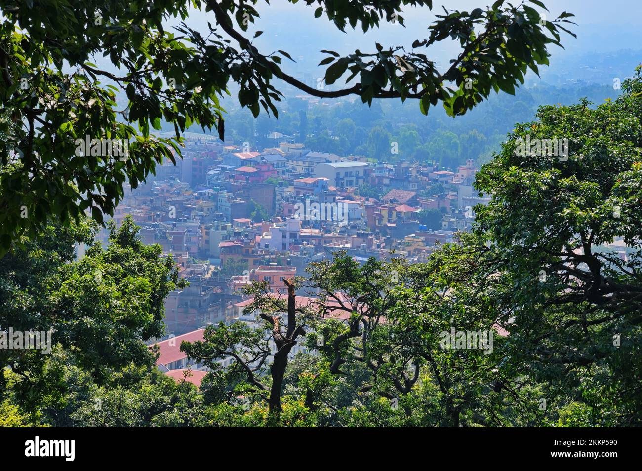 Nepal kathmandu asia old tree hi-res stock photography and images - Alamy