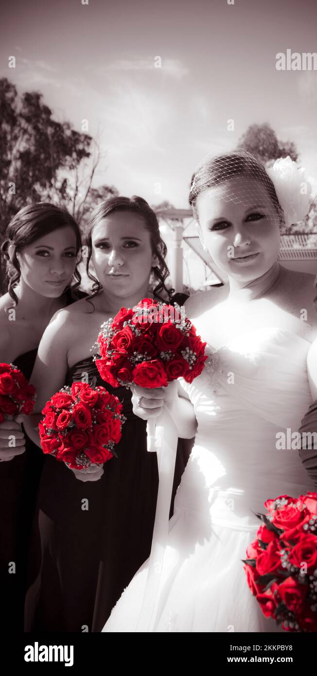 Bride With Two Bridesmaids Holding Multiple Bouquets Of Red Roses With ...
