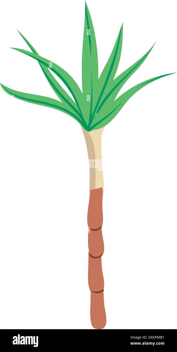 coconut palm design Stock Vector Image & Art - Alamy