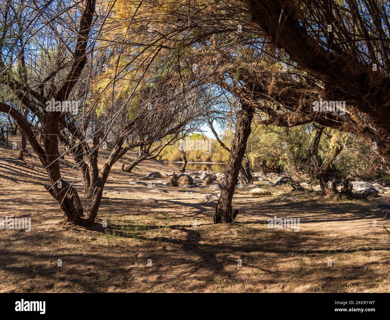 Late fall in the Arizona desert is a magical time where temperatures ...