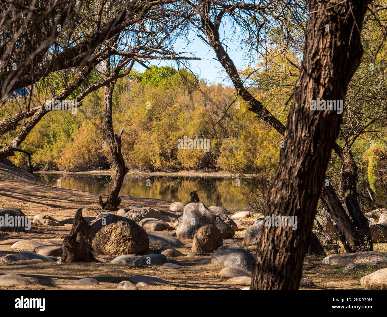 Late fall in the Arizona desert is a magical time where temperatures ...