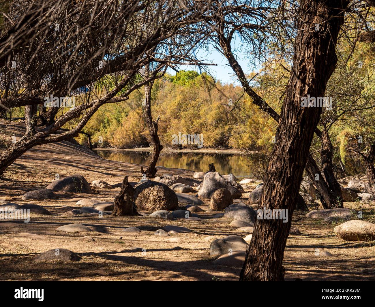 Late fall in the Arizona desert is a magical time where temperatures ...
