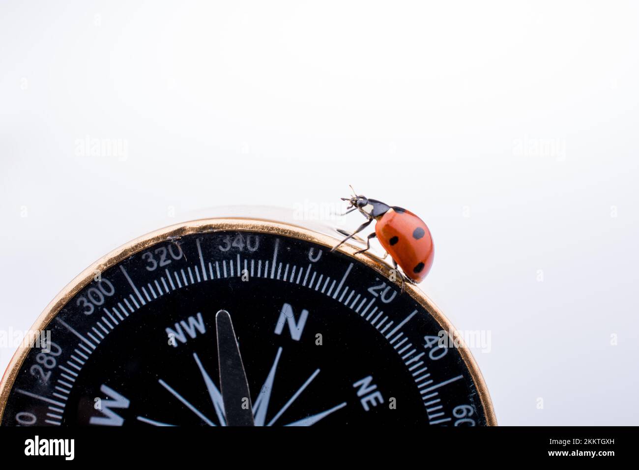 Beautiful compass hi-res stock photography and images - Alamy