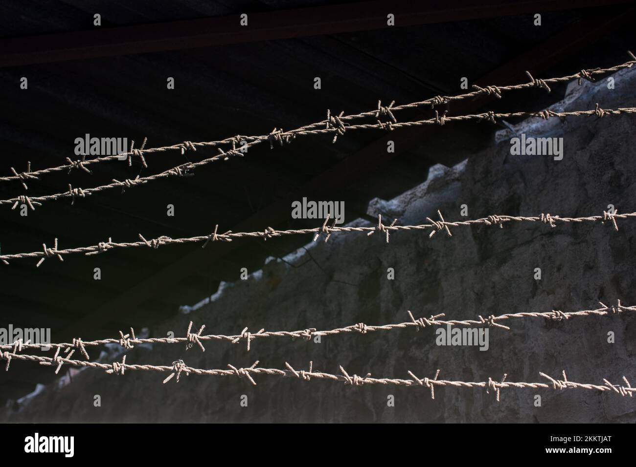 Barbed wire fence used for protection purposes Stock Photo - Alamy