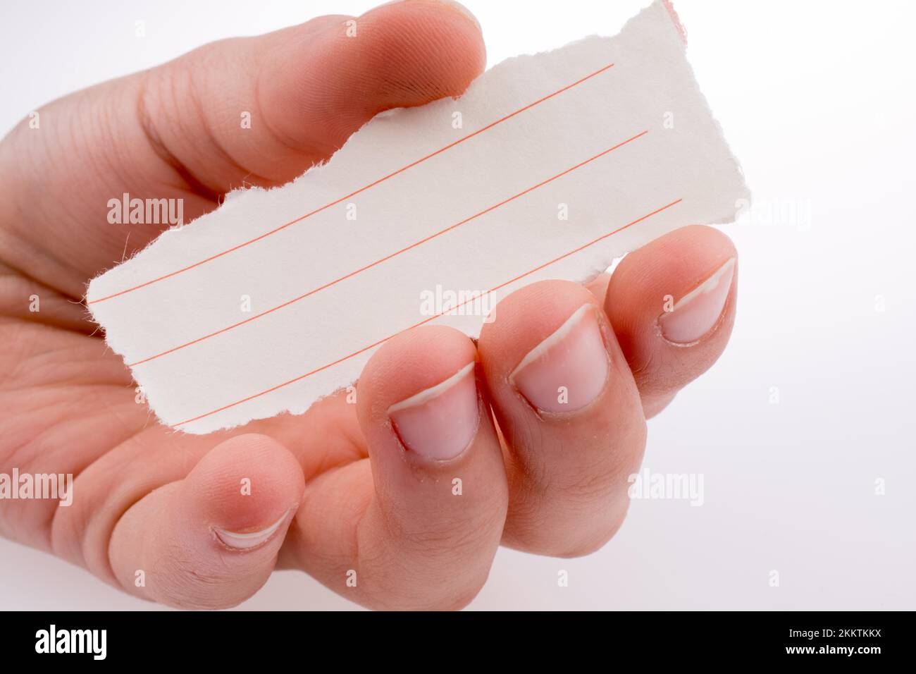 Hand holding a piece of torn lined paper on a white background Stock ...