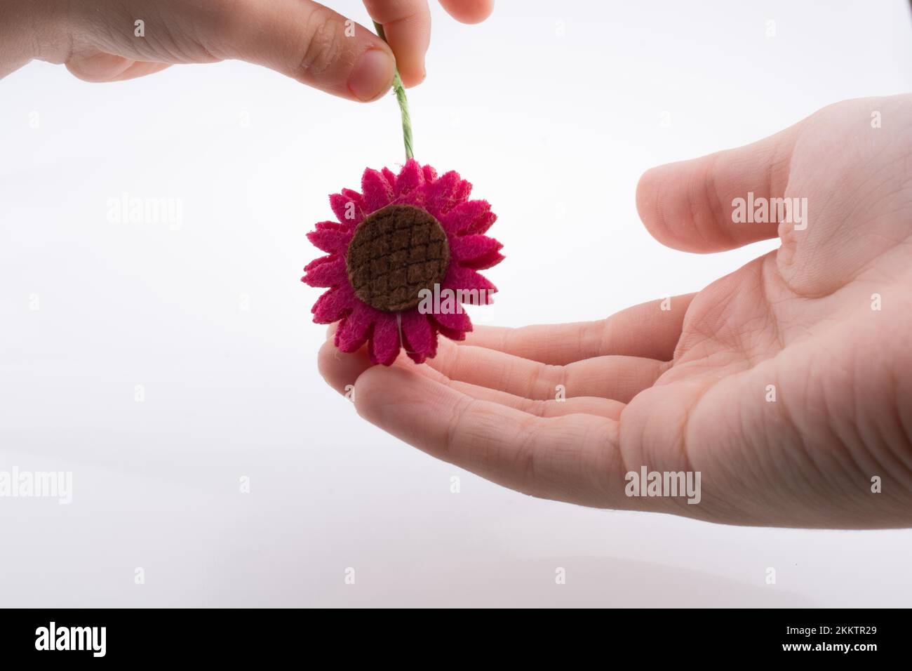 Baby giving a fake flower on a white background Stock Photo - Alamy
