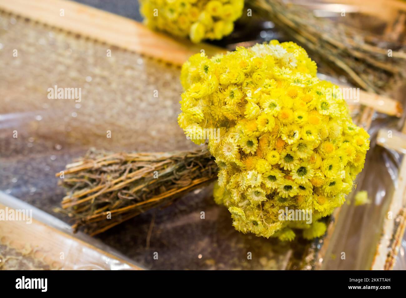 Beautiful colorful natural flowers in dry form Stock Photo - Alamy