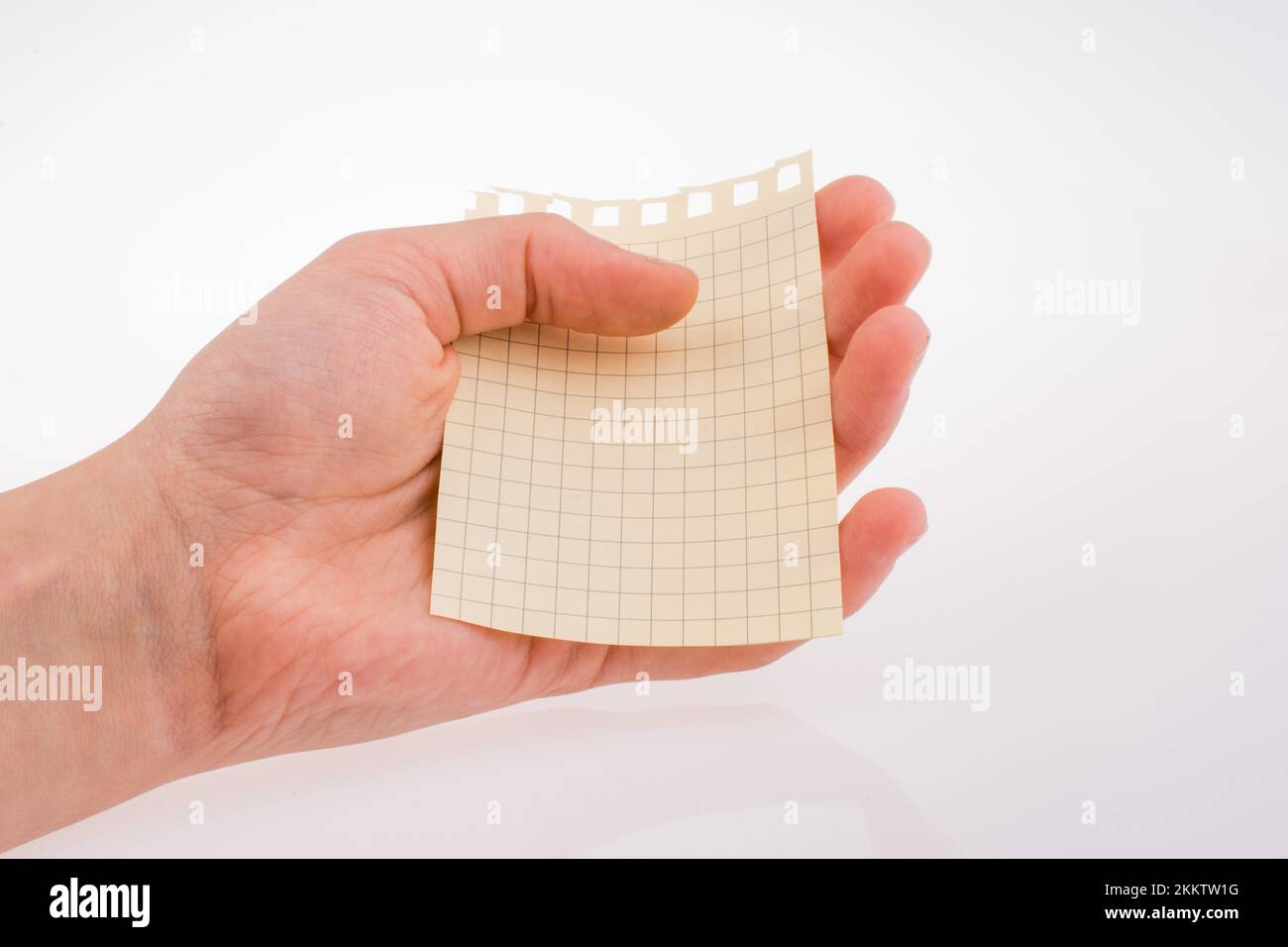 Hand holding a piece of checked paper on a white background Stock Photo ...