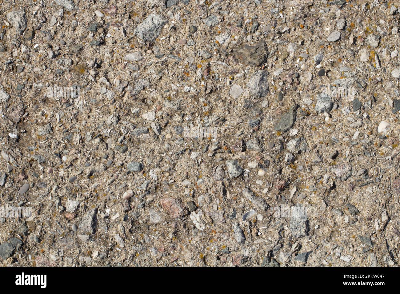 stone wall texture. particles of shells stick out of the stone, the ...