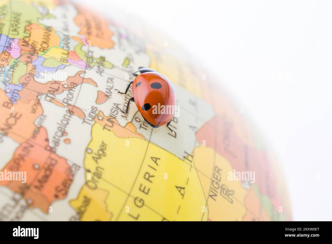 Ladybug walking on a little colorful model globe Stock Photo - Alamy