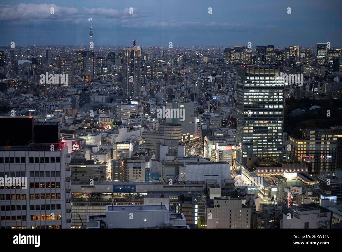 Tokyo, Japan. 24th Nov, 2022. The Shinjuku cityscape with the Tokyo ...