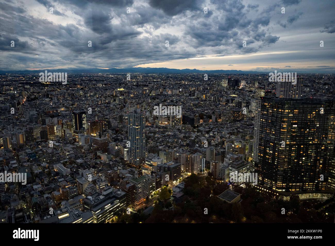 Tokyo, Japan. 24th Nov, 2022. The Shinjuku cityscape with the Tokyo ...
