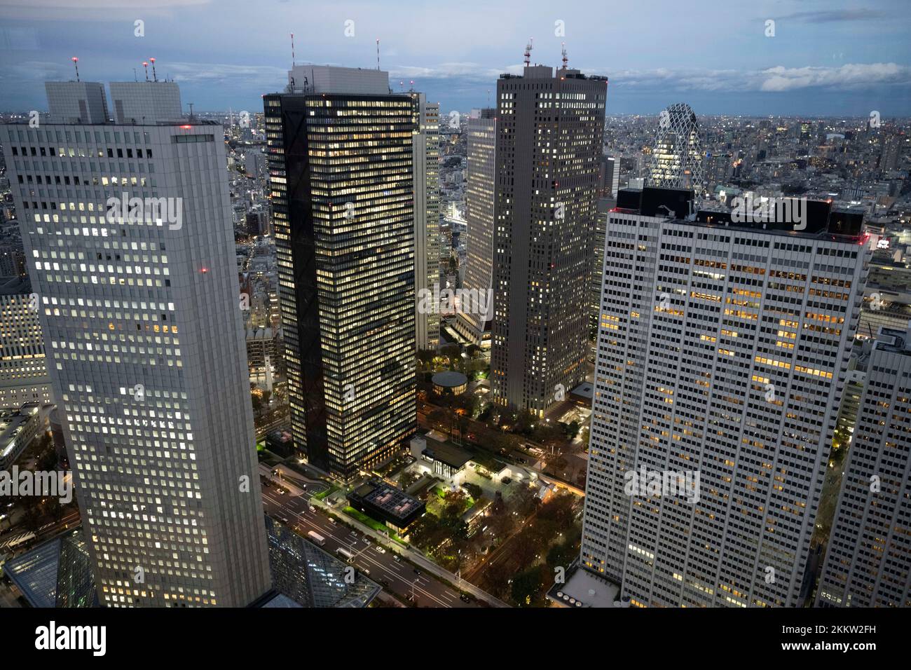 Tokyo, Japan. 24th Nov, 2022. The Shinjuku cityscape with the Tokyo ...