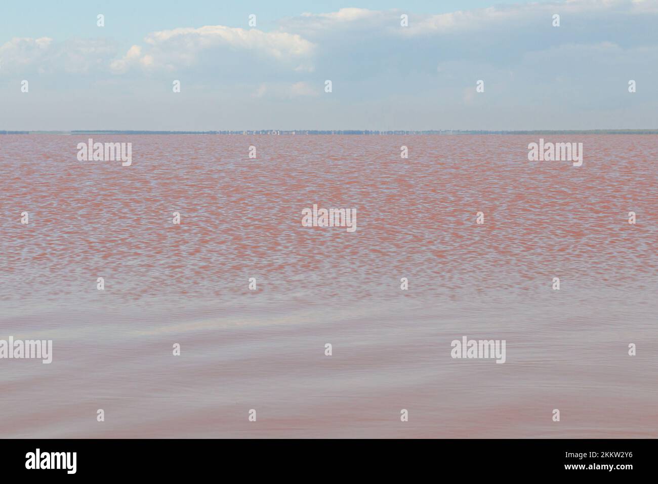 shore of the Pink Salt Lake. Lake Sivash, known since antiquity for its ...