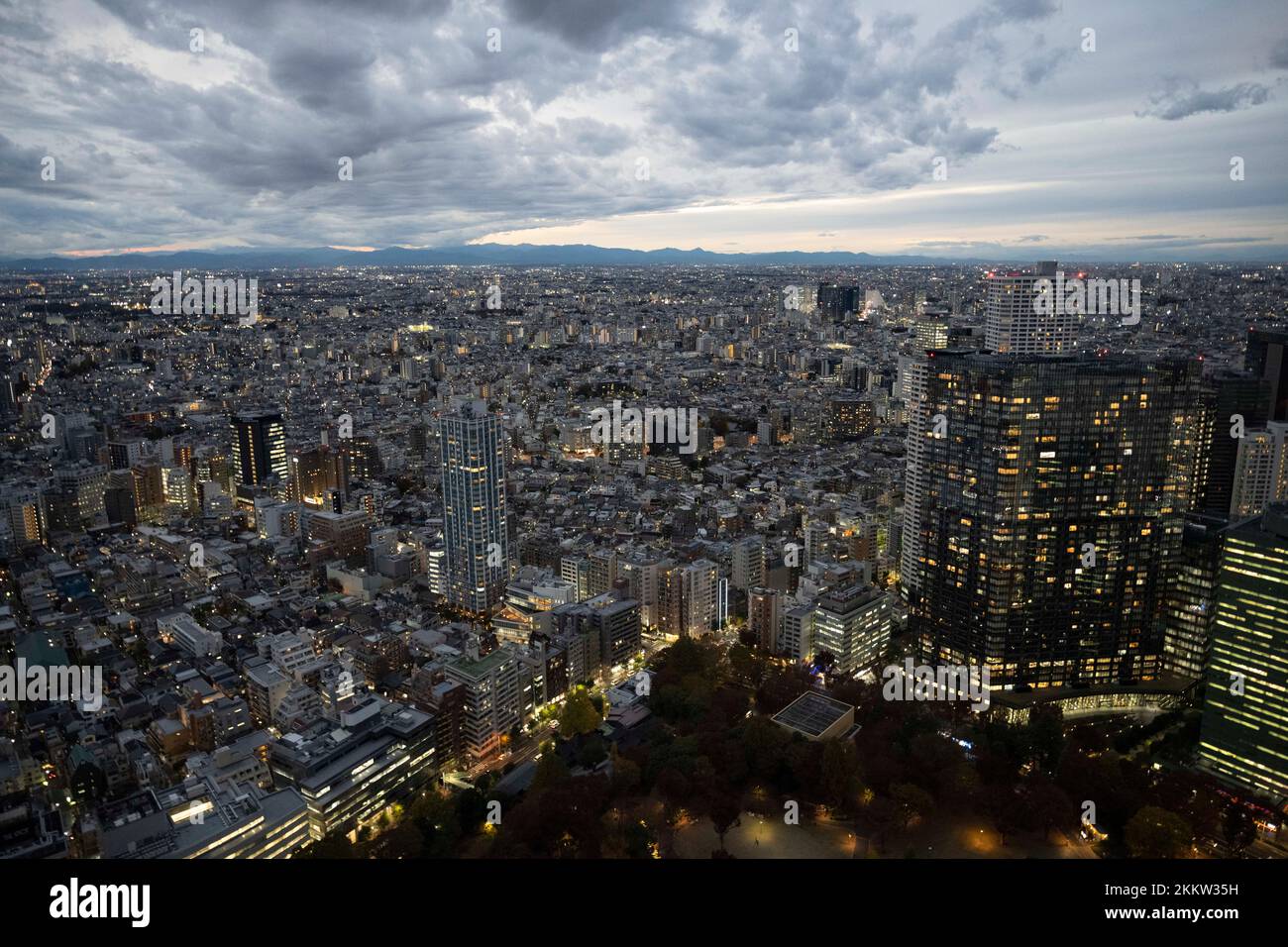 Tokyo, Japan. 24th Nov, 2022. The Shinjuku cityscape with the Tokyo ...
