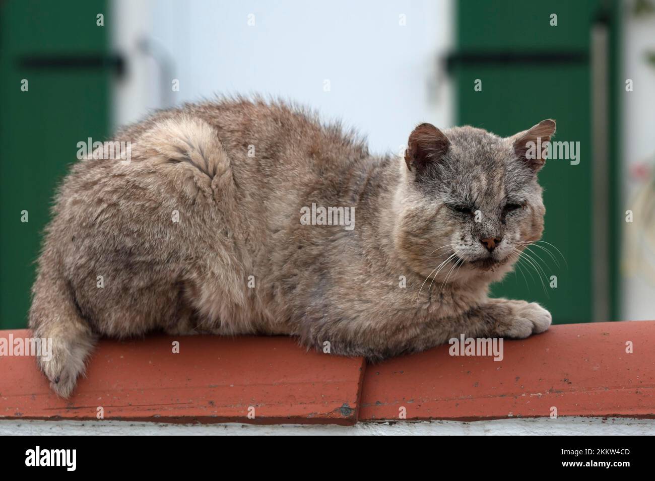 Ridge tiles hi-res stock photography and images - Alamy