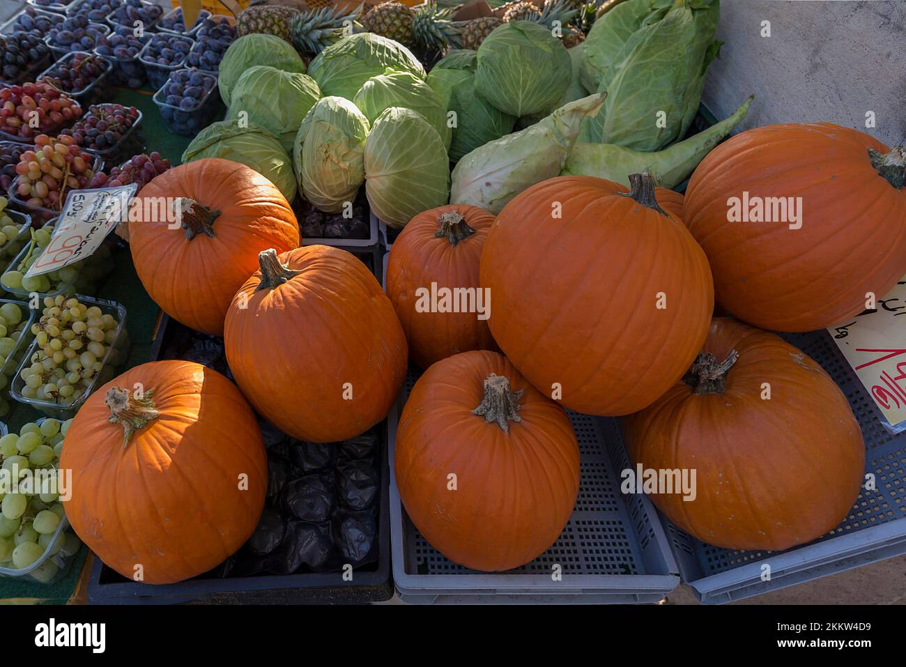 Hokkaido pumpkin, Red squash (Cucurbita maxima), at a fruit and ...