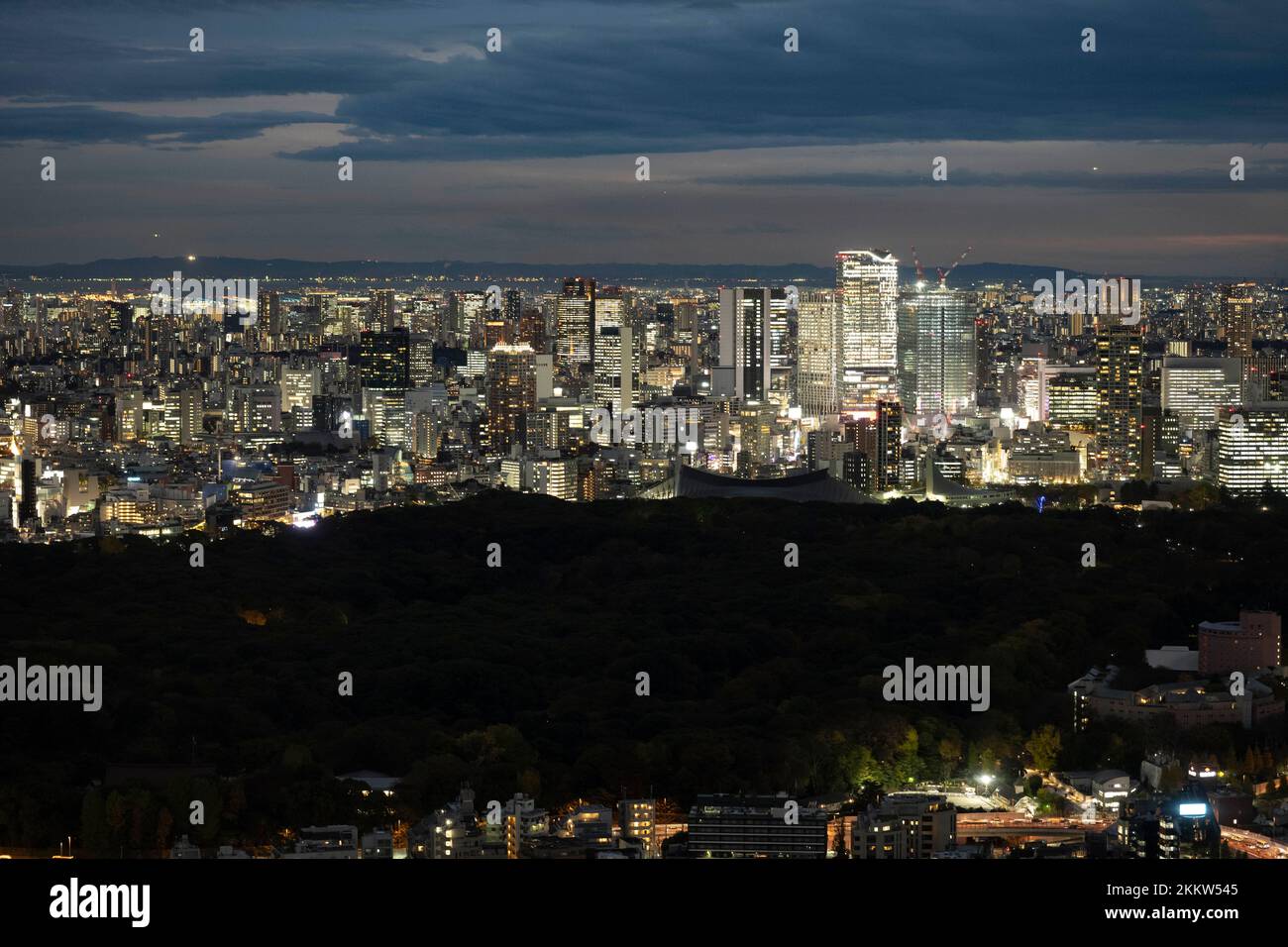Tokyo, Japan. 24th Nov, 2022. The Shinjuku cityscape with the Tokyo ...