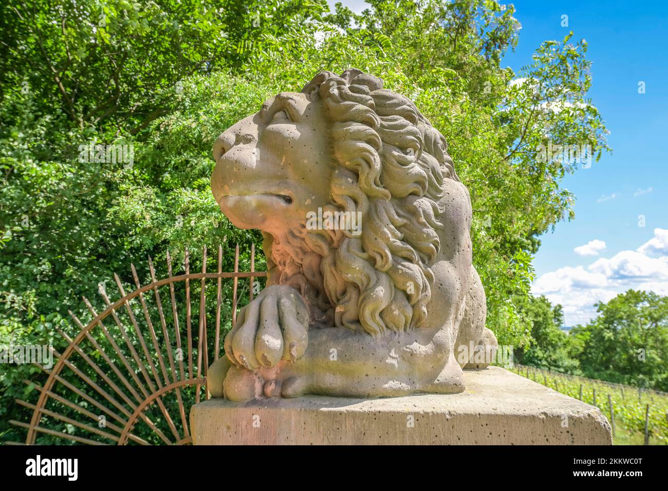 Lion, Lion Terrace, Neroberg, Wiesbaden, Hesse, Germany, Europe Stock ...