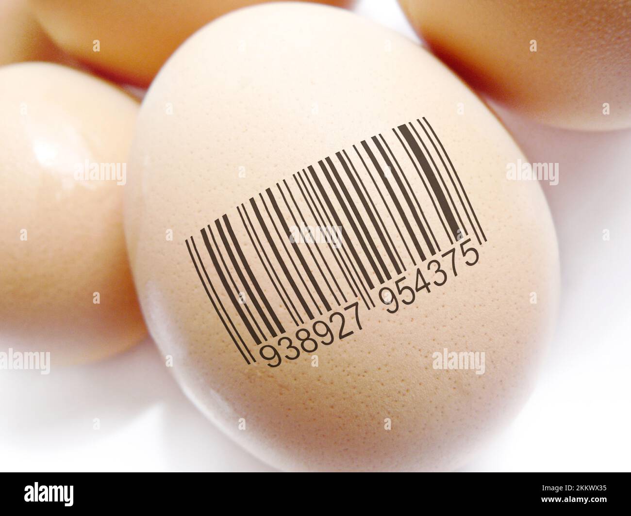 Group Of Eggs Barcoded To Represent Product Identification Stock Photo ...