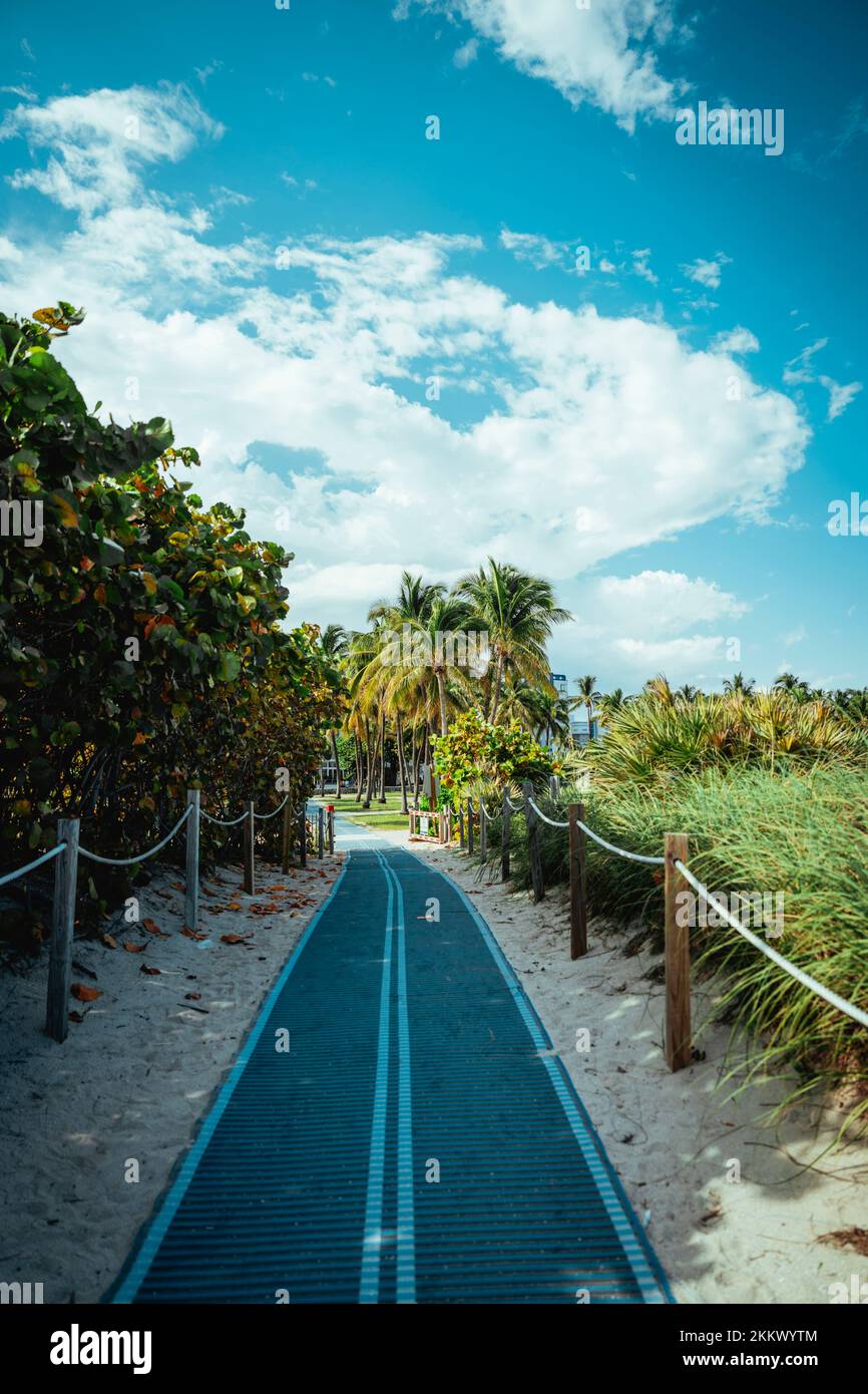 An asphalt path road with wooden poles fence with grass and trees ...