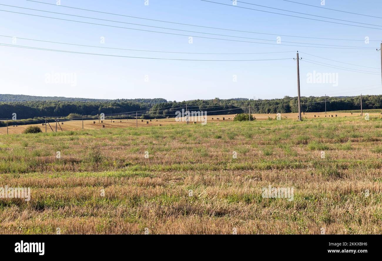 High concrete poles with electric wires, installed in rural areas poles ...