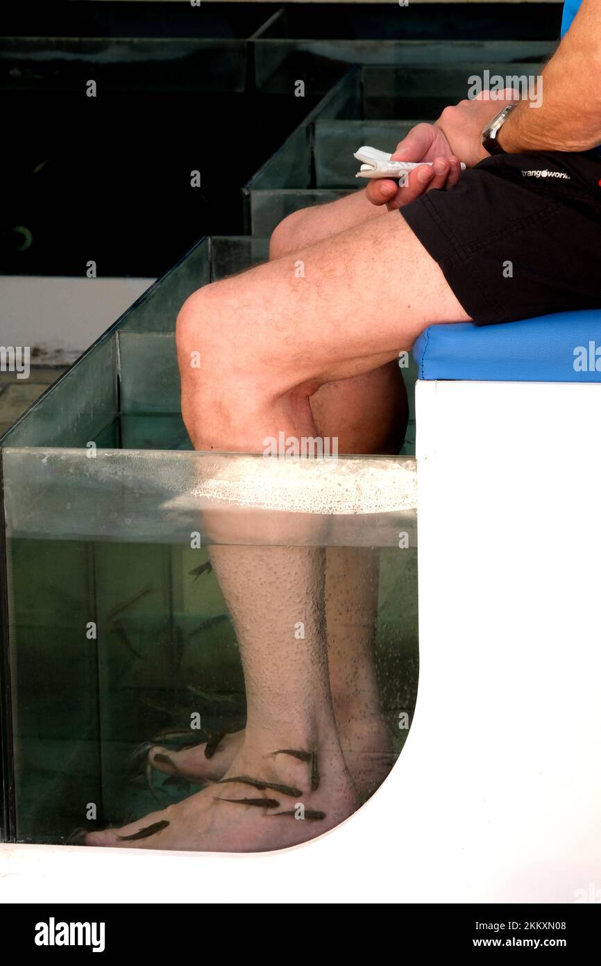 Tank fish hi-res stock photography and images - Alamy